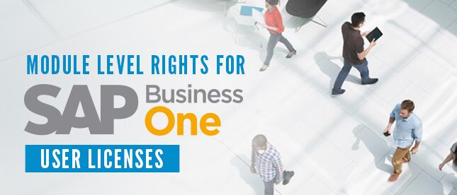 Module Level Rights for SAP Business One User Licenses